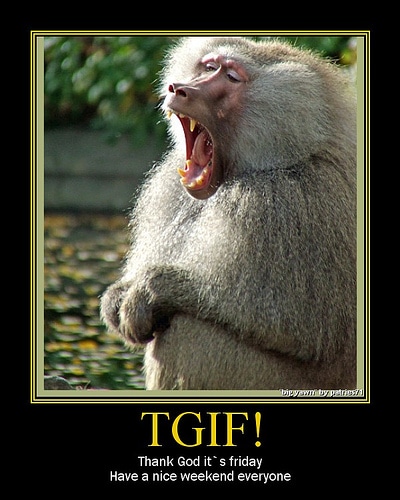 lists of reasons why i LOVE fridays