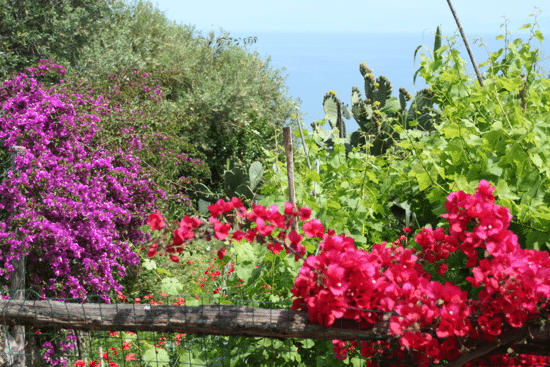 list of dates &/or events to include on your mid-spring and summer ...