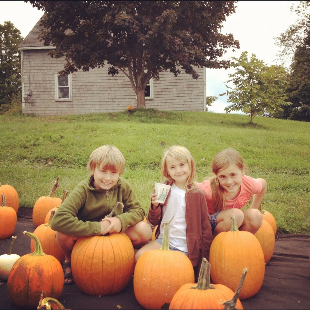 list of ways to celebrate fall